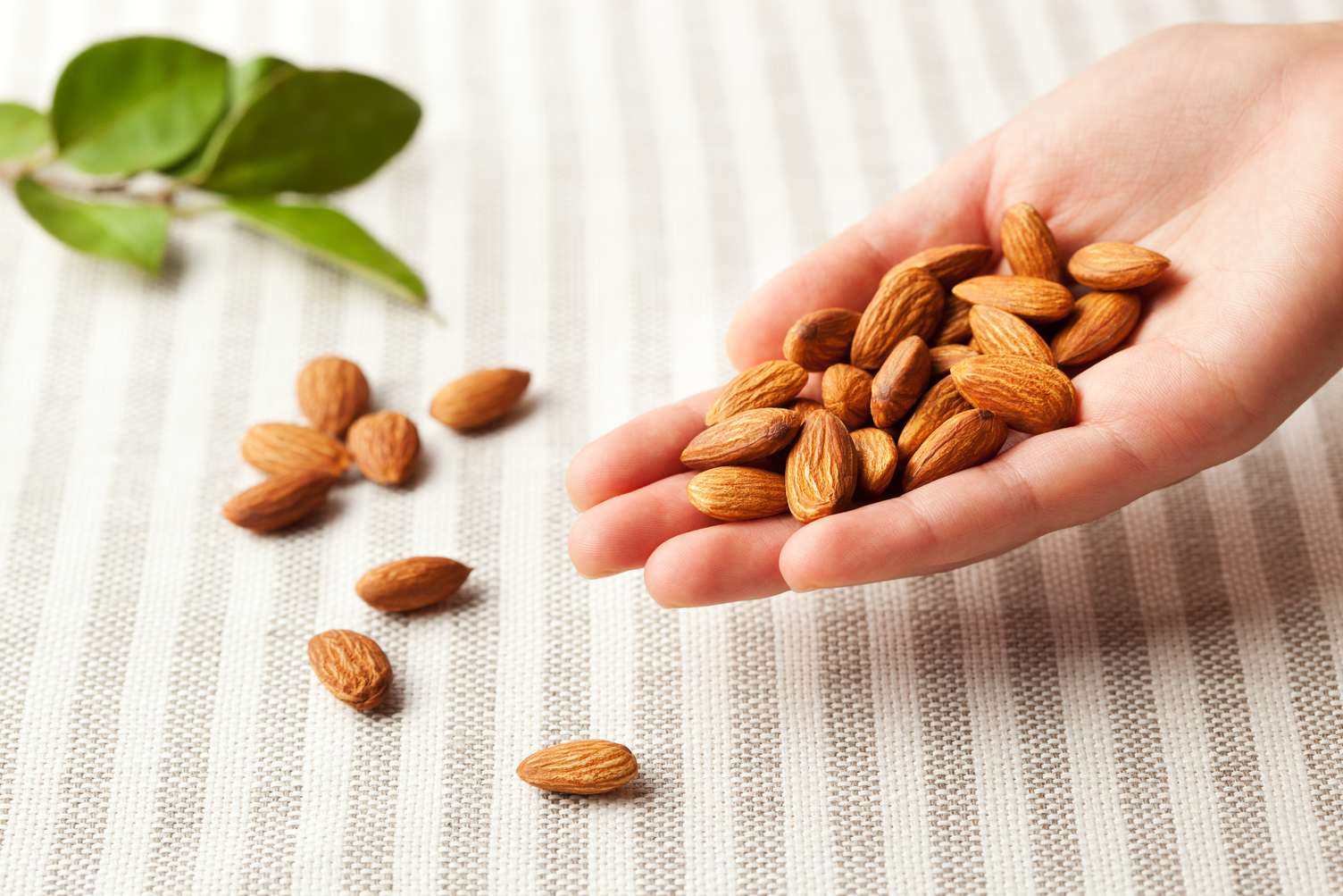 The Nutritious Power of Almonds